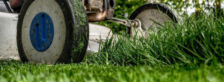 faire une allée engazonnée