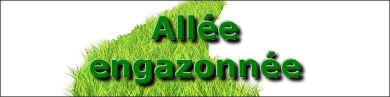 faire une allée engazonnée