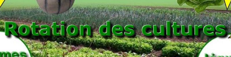 rotation des cultures bio: