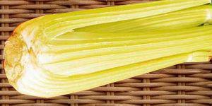 Céleris branche : Culture bio