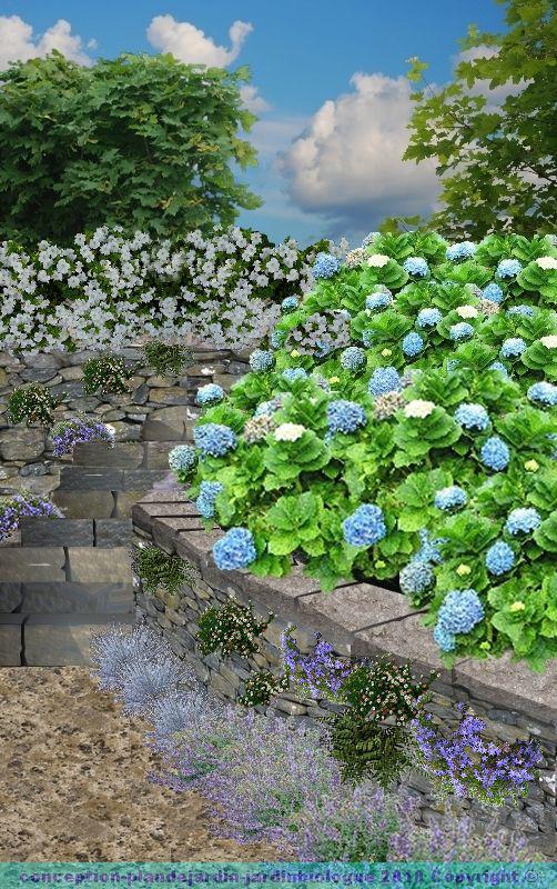 muret en pierres séches: muret de pierres sèches fleuri